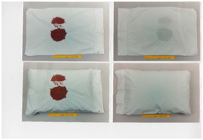 "Test pillow 02" by Cuyahoga County Coroner's Office and James Wentzel